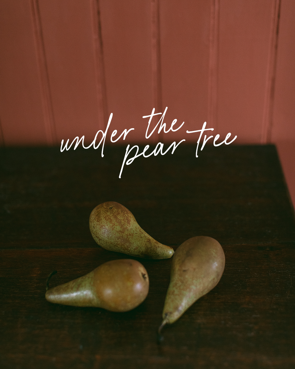 Under the Pear Tree Look Book – Nellie Quats